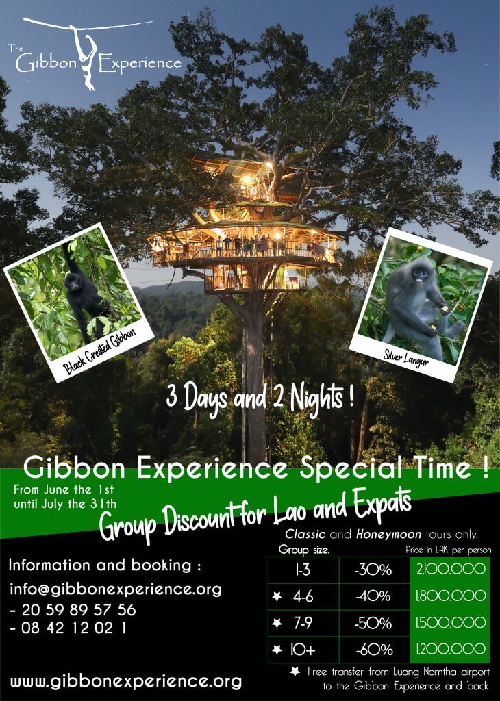Home - Gibbon Experience